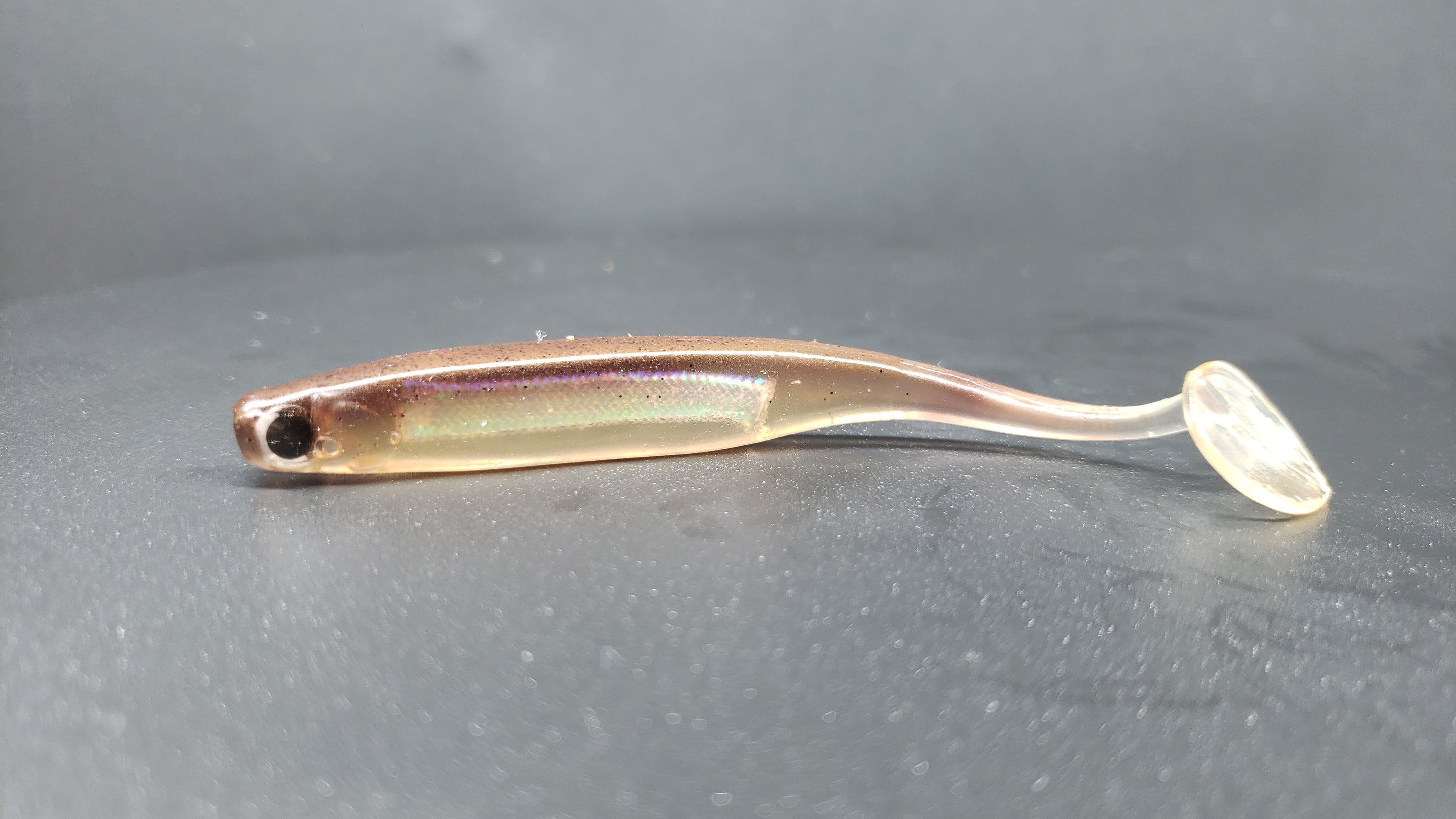 Willy Wacker – Sev7n OutDoors